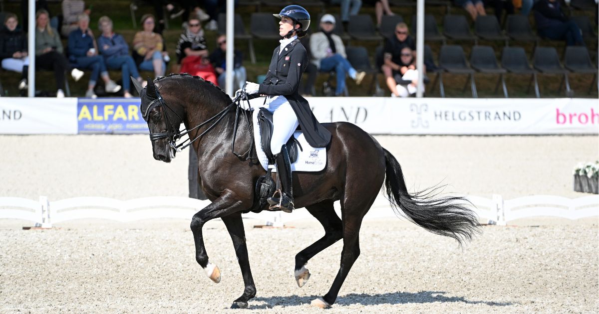 Tårnhøjt niveau ved DM i dressur